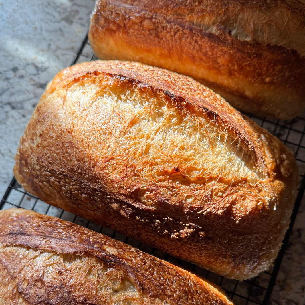 Bread & Pastries – Loaf Land